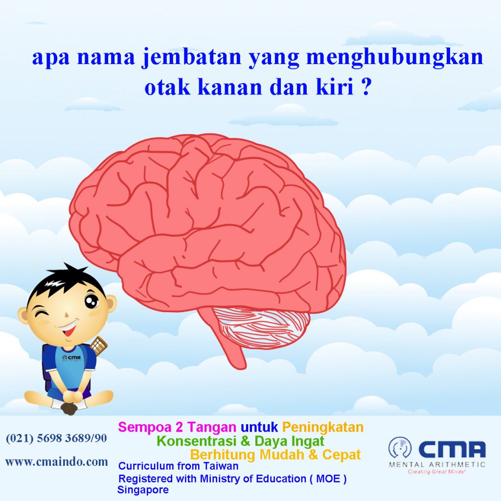 Jembatan Penghubung Otak Kanan dan Otak Kiri | CMA Mental Arithmetic ...